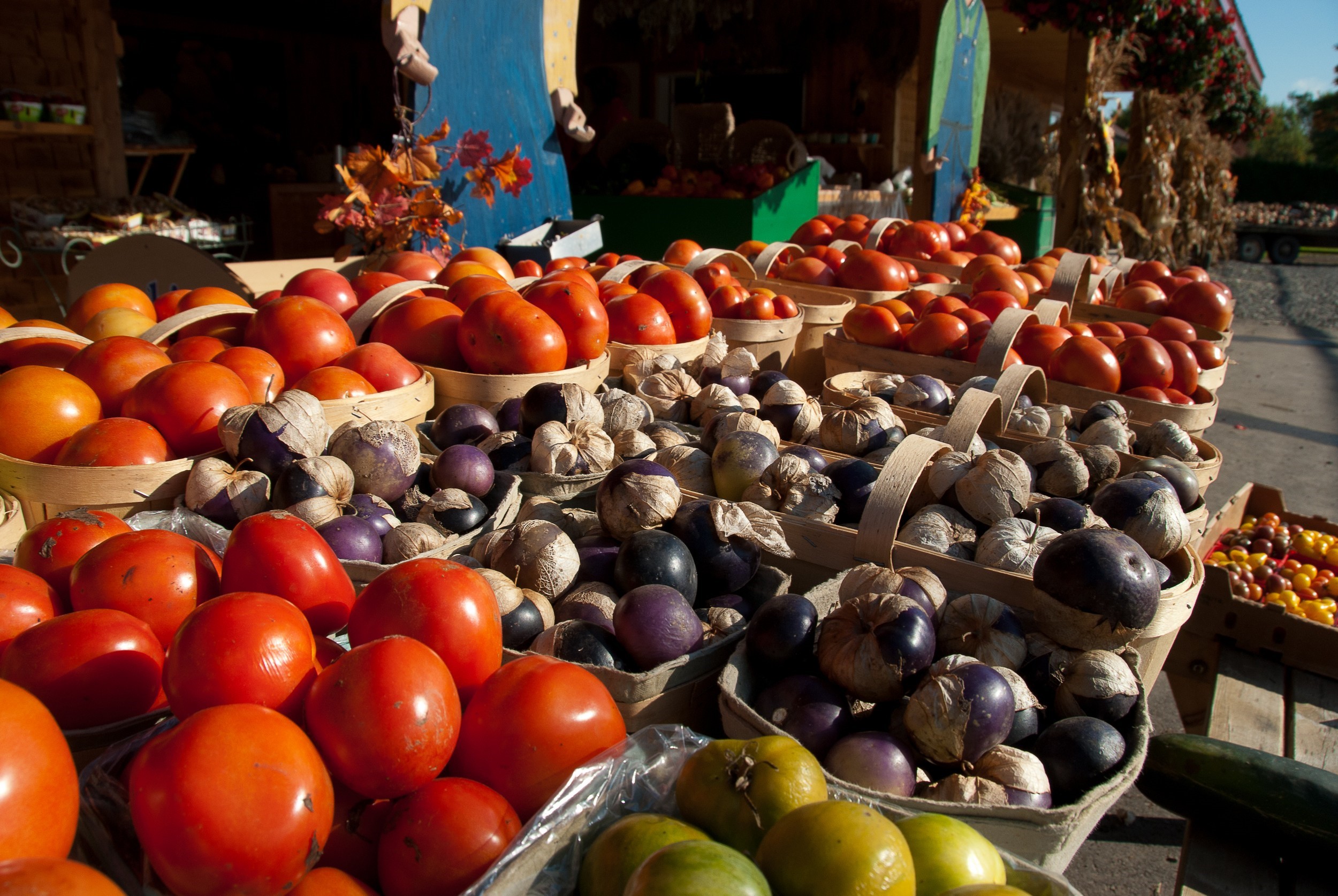 Produits locaux "Culture de saveurs" | MRC Portneuf